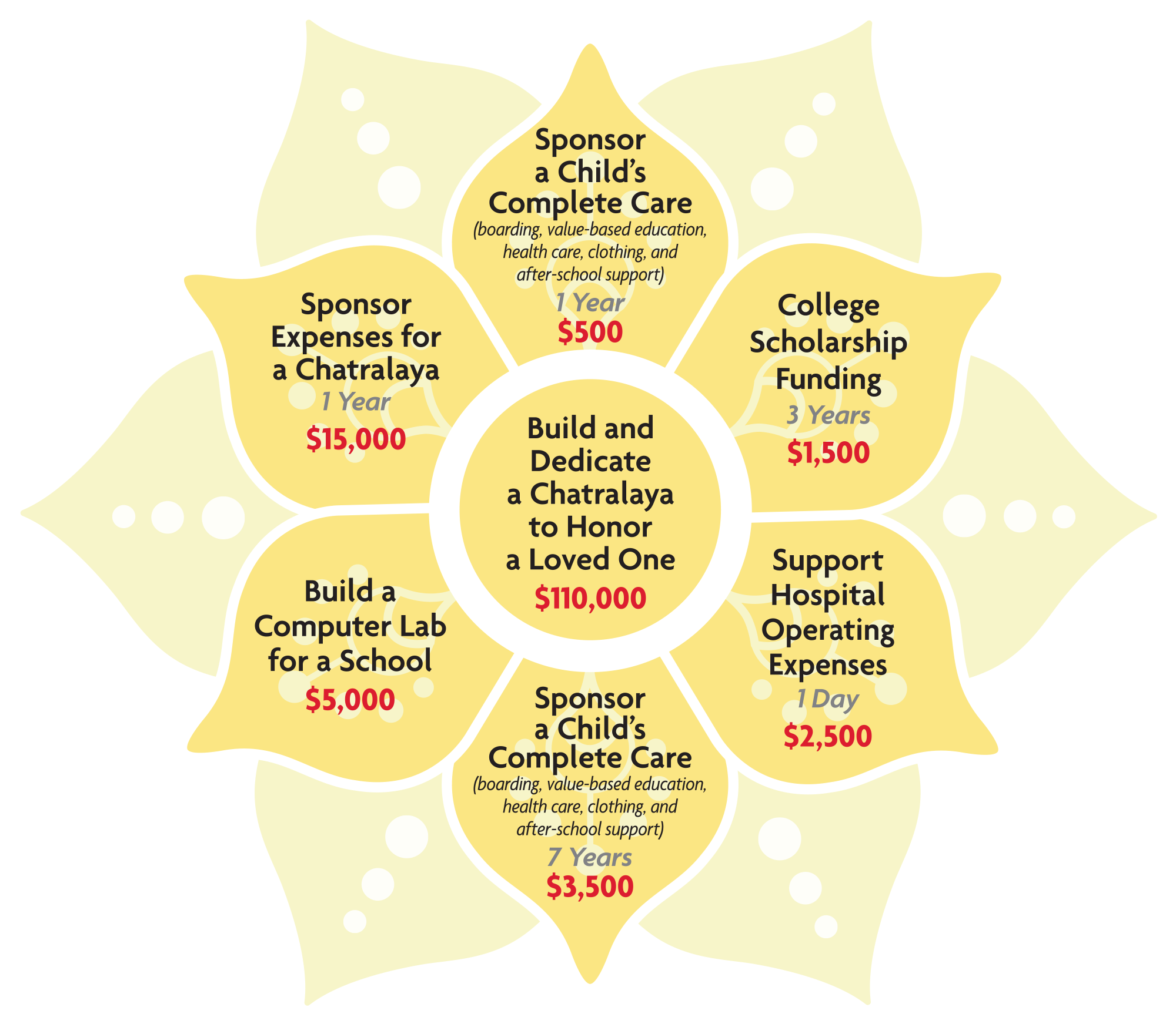 AIM for Seva General Donation