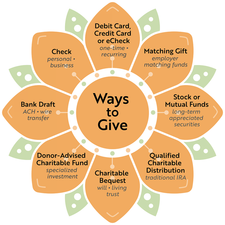 AIM for Seva General Donation